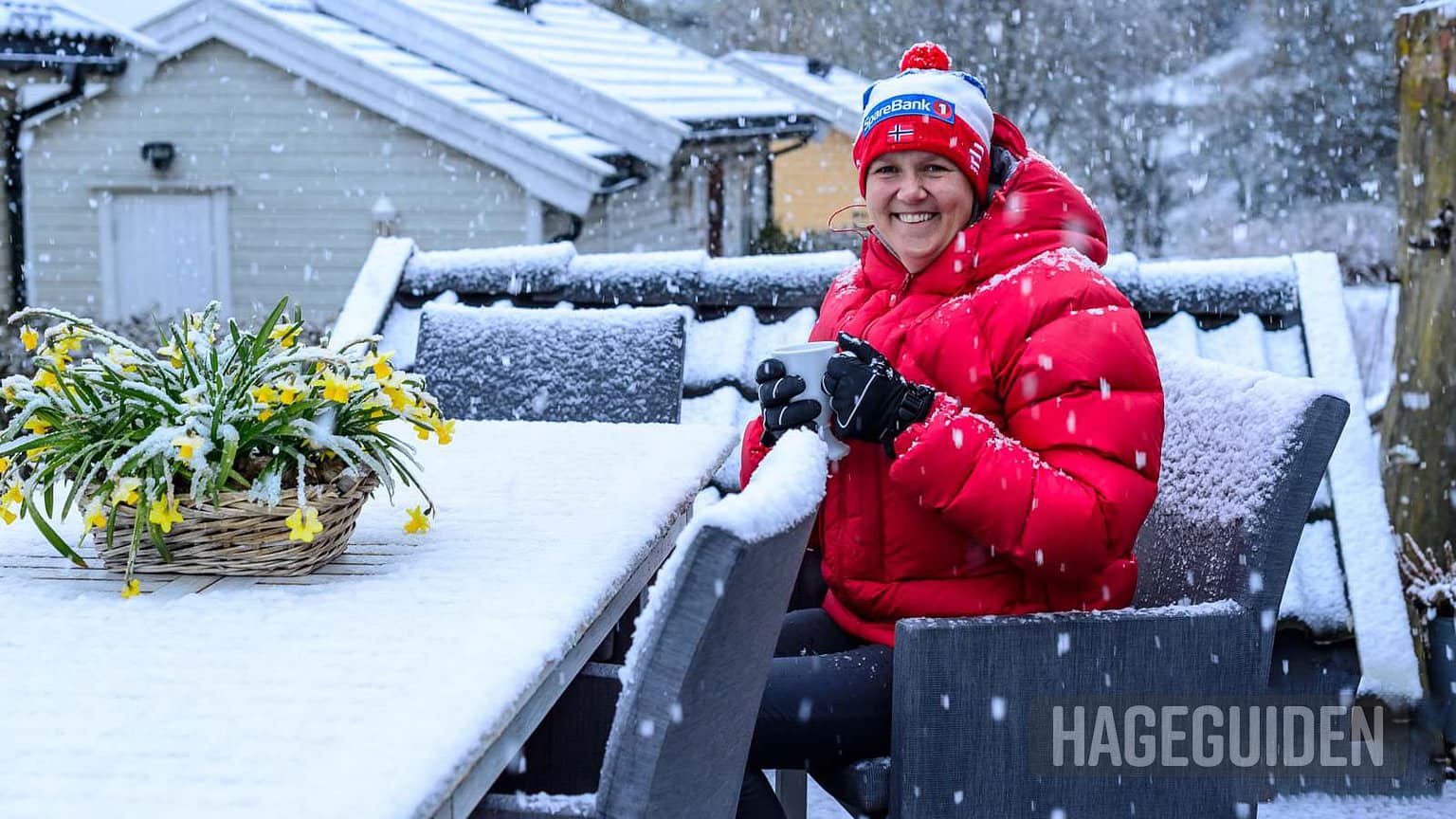 Velg riktig plante for ditt klima - Hageguiden - Norges nyttigste hageblad