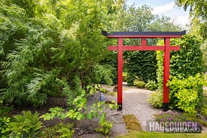 Slik lager du en japansk hage – for norske forhold - Hageguiden ...