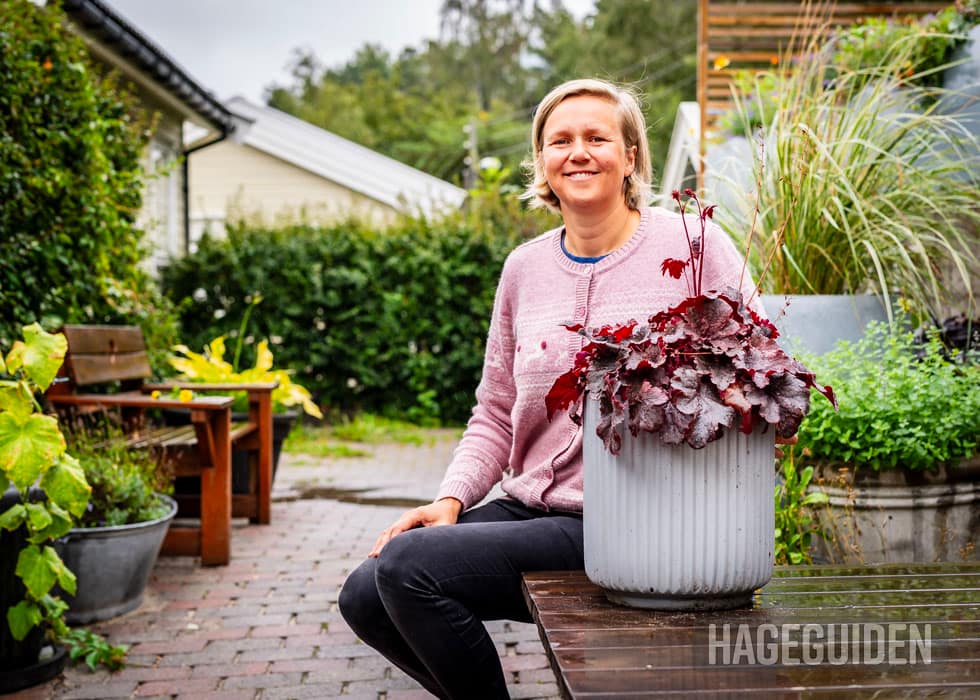 7 tips til en vakker og lettstelt hage - Hageguiden - Norges nyttigste ...